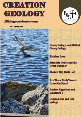 Creation Geology Magazine | PDF to Flipbook