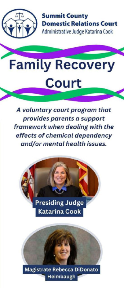 Family Recovery Court Broucher | PDF to Flipbook