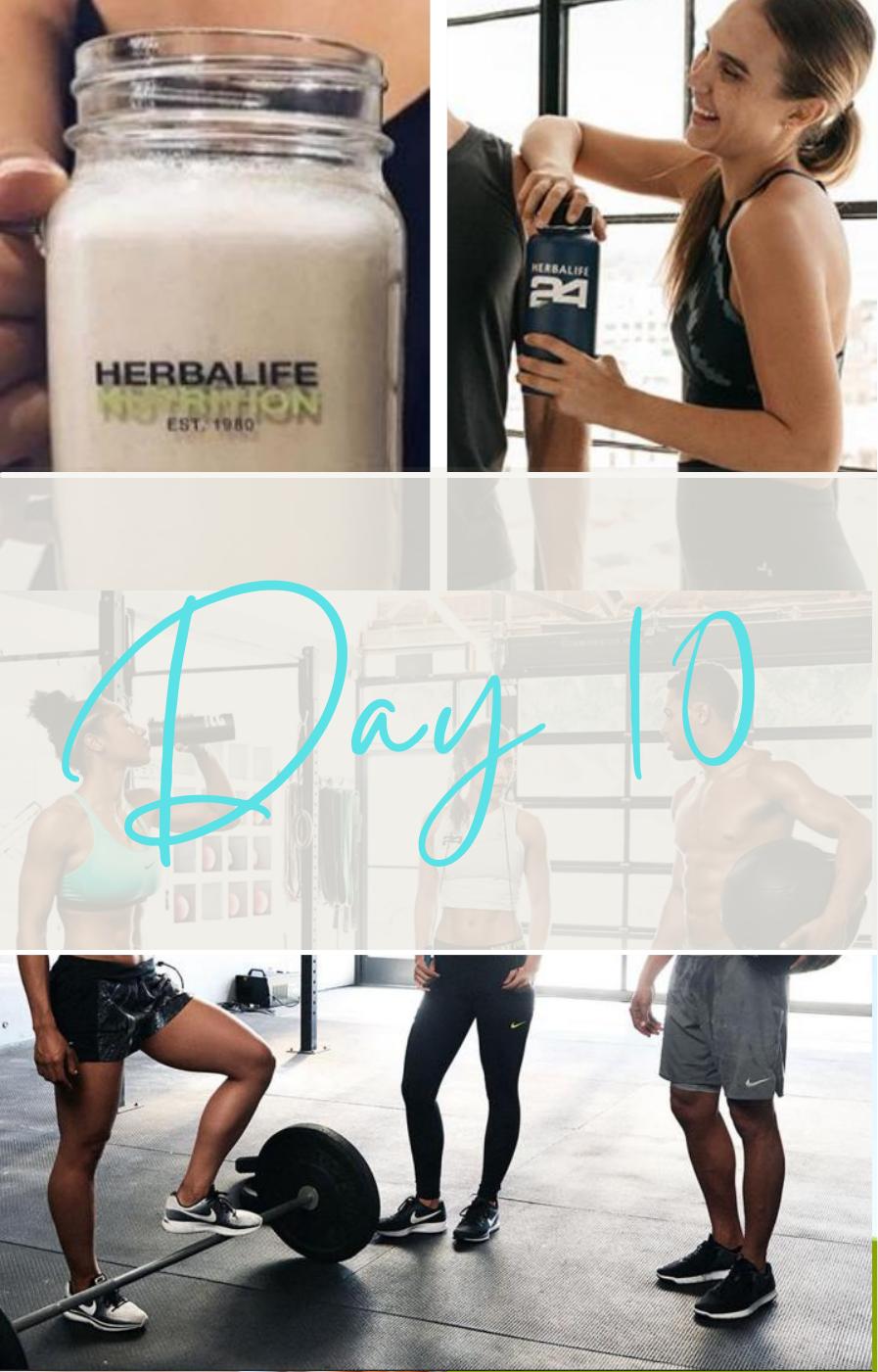 DAY10 LAP 2 | PDF to Flipbook