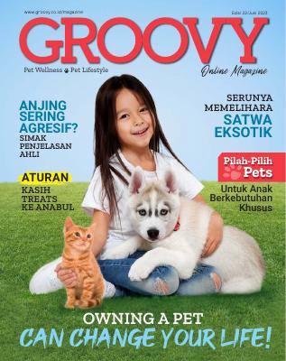 #22 GROOVY MAGAZINE
