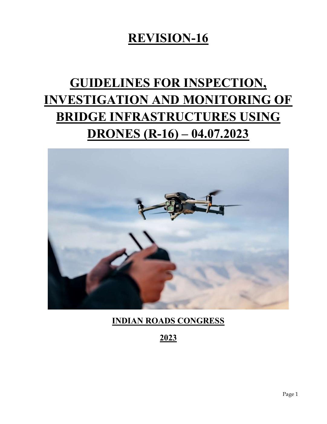 Draft Guidelines for Inspection, Investigation and Monitoring of Bridge ...