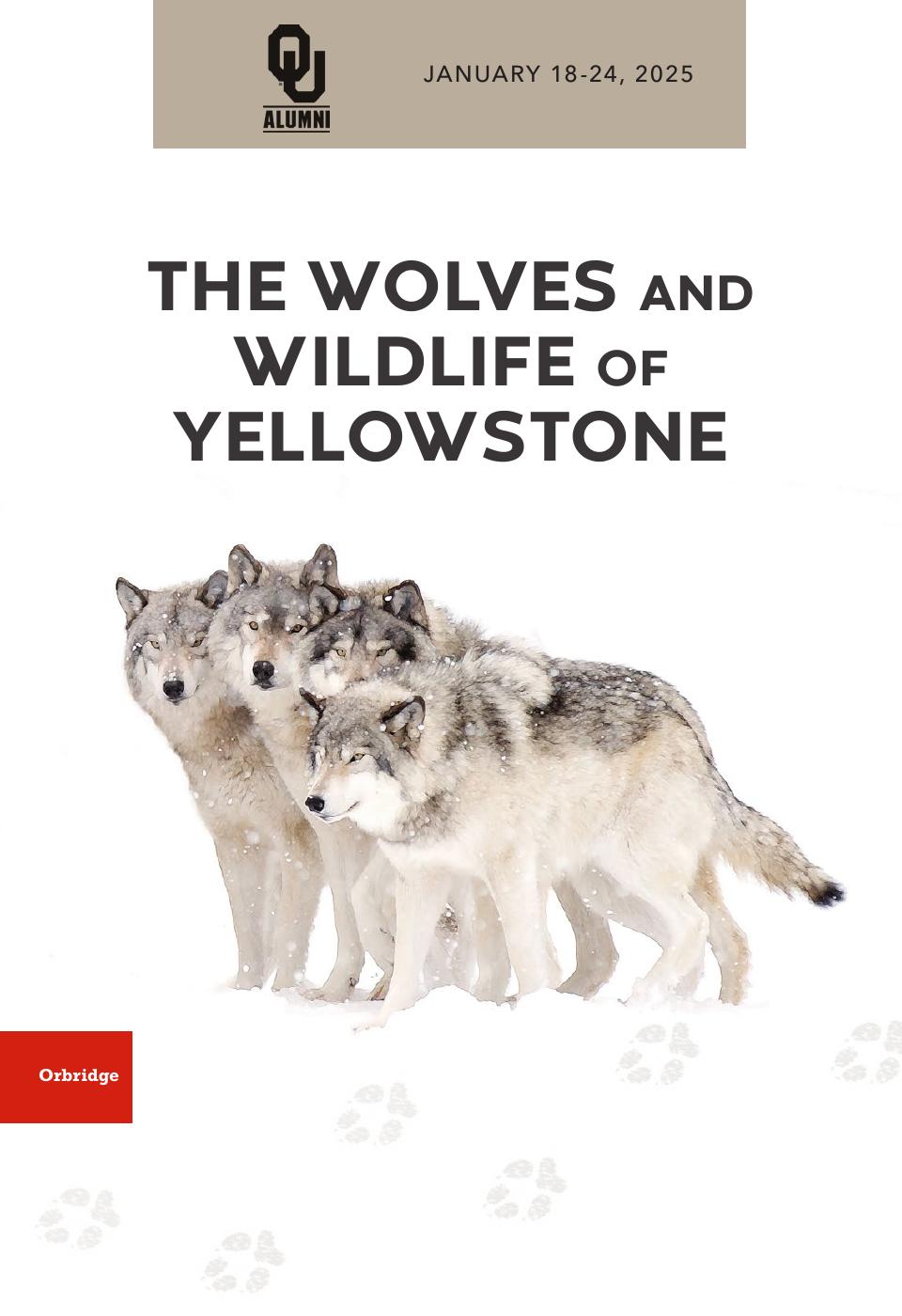 U Oklahoma - Wolves (BZN-JAC) 2025