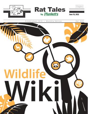 June Rat Tales 2022 | PDF to Flipbook