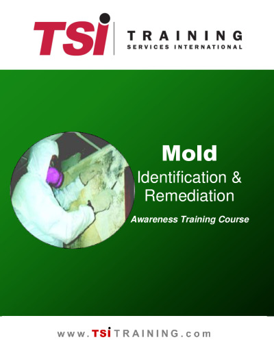 Mold Identification and Remediation