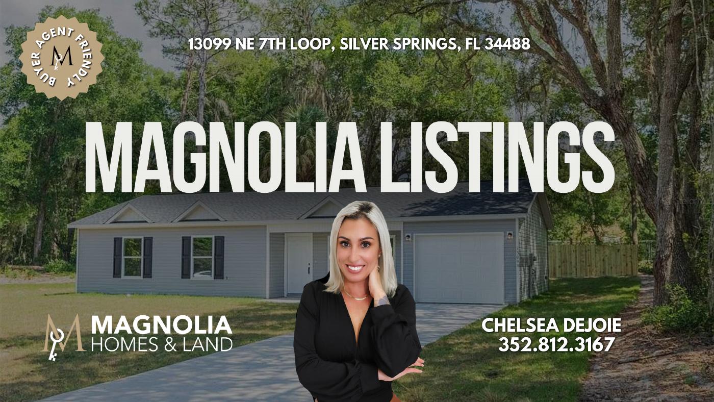 Chelsea Dejoie: 13099 NE 7th Loop, Silver Springs, FL 34488