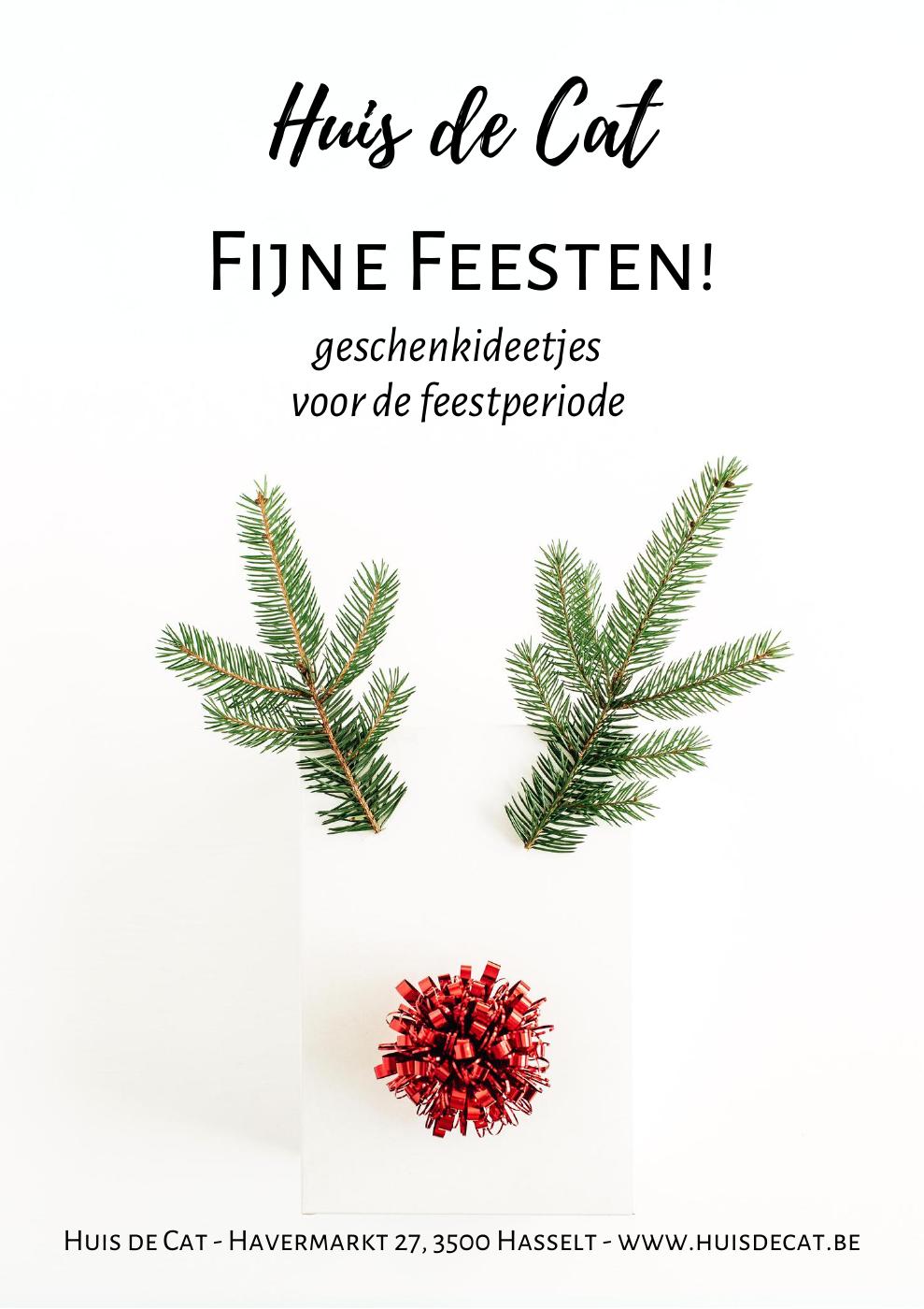 Fijne Feesten! van Huis de Cat | PDF to Flipbook