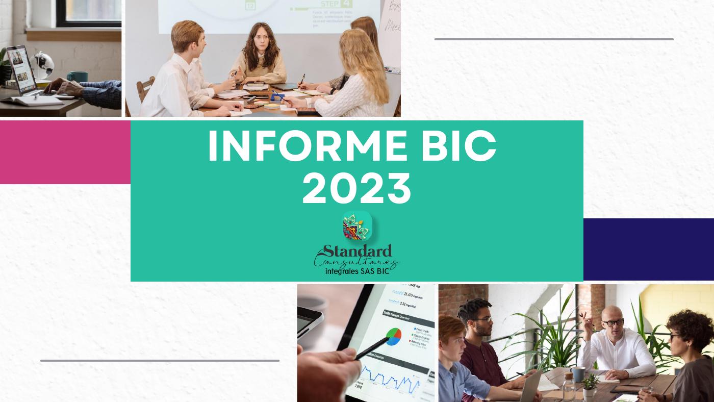 Infrorme BIC | PDF to Flipbook