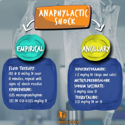Anaphylactic Shock