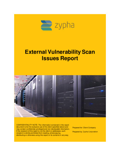 VULNERABILITY ISSUES SAMPLE REPORT | PDF to Flipbook