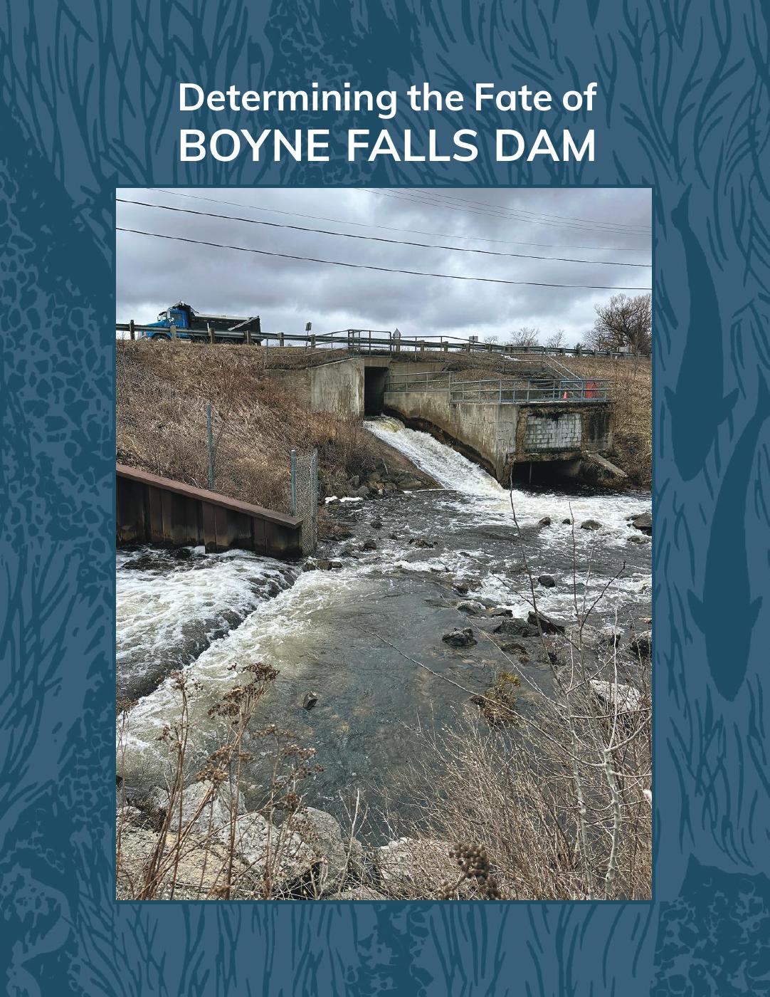 Determining the Fate of Boyne Falls Dam