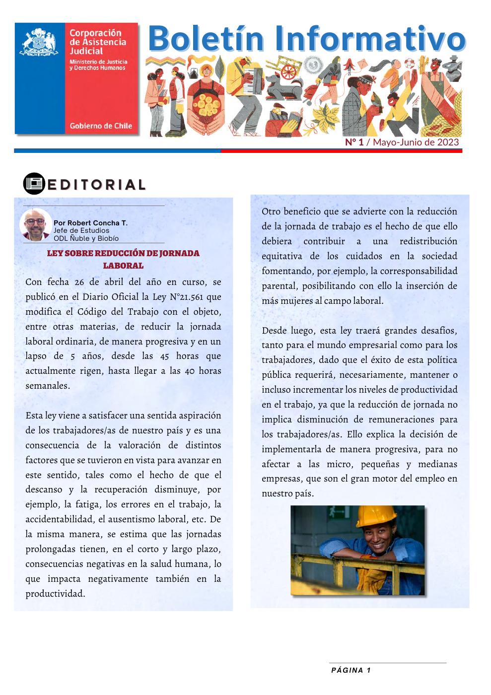 Boletín Informativo | PDF to Flipbook