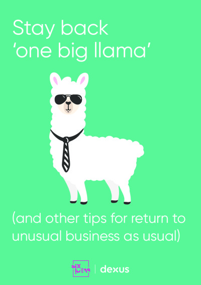 Stay back 'one big llama' | PDF to Flipbook