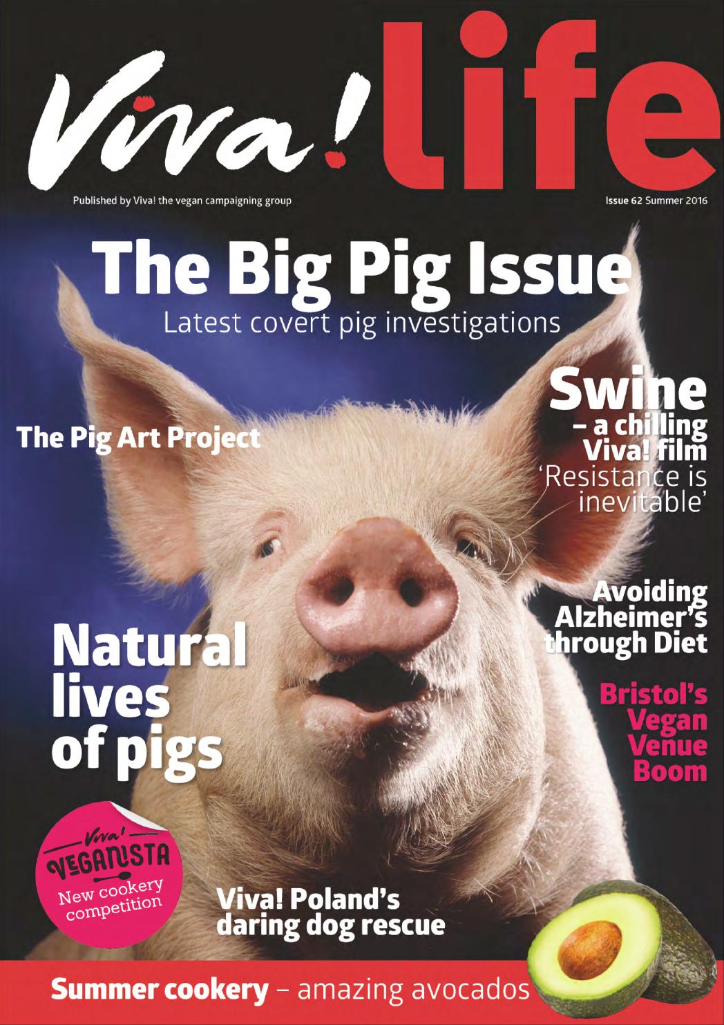 Viva!life Issue 62 | Summer 2016