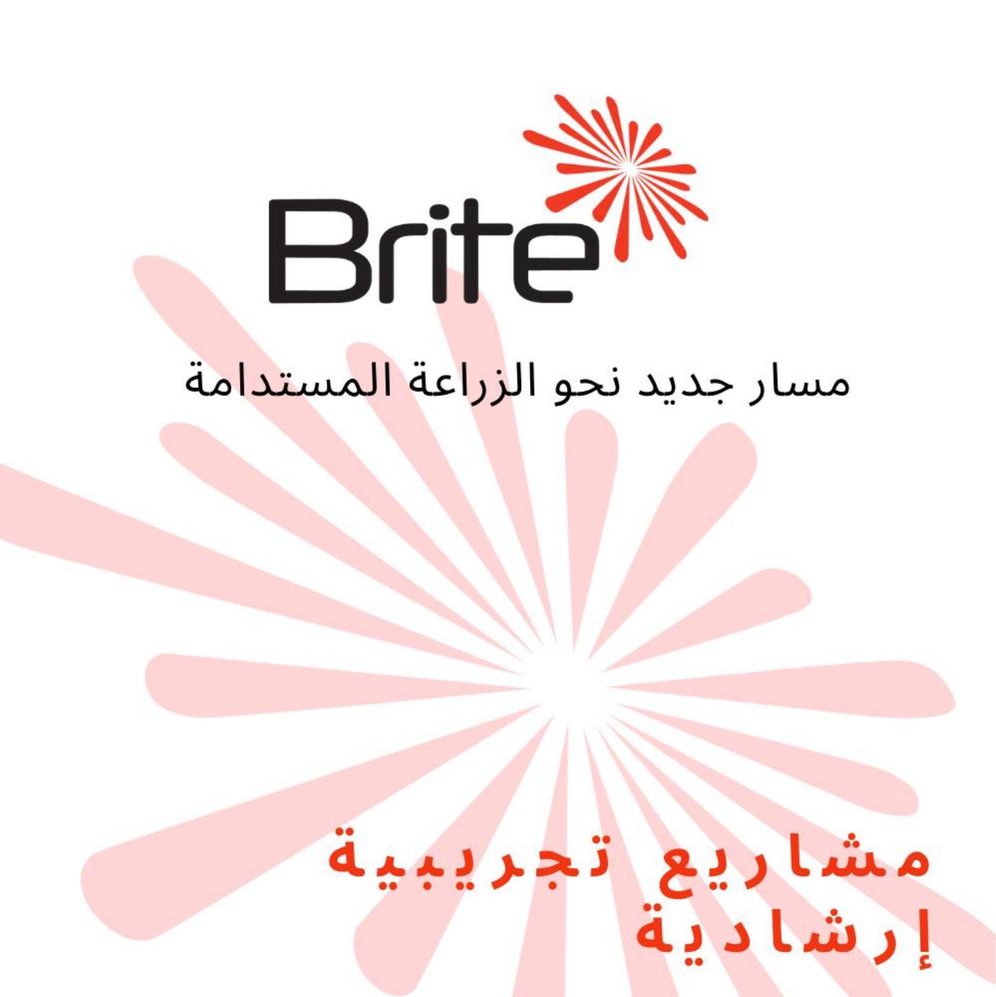 Brite - Projects (Ae)