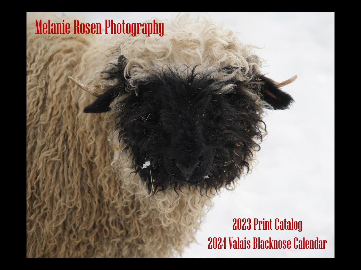 Melanie Rosen Photography | PDF to Flipbook