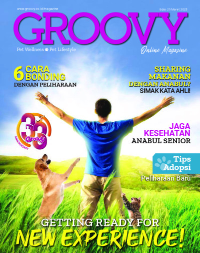 #21 GROOVY MAGAZINE