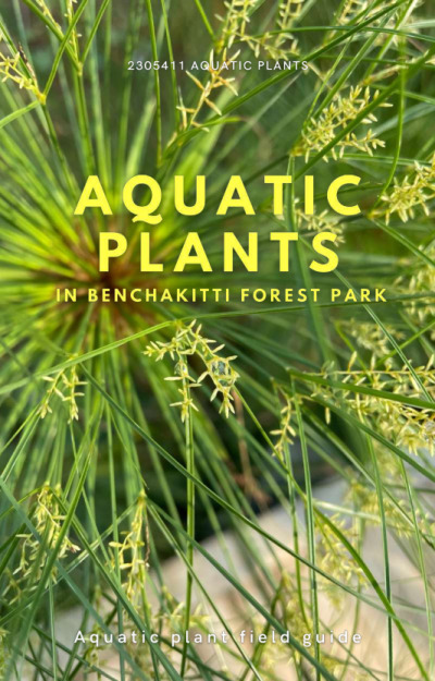 Aquatic plant field guide | PDF to Flipbook