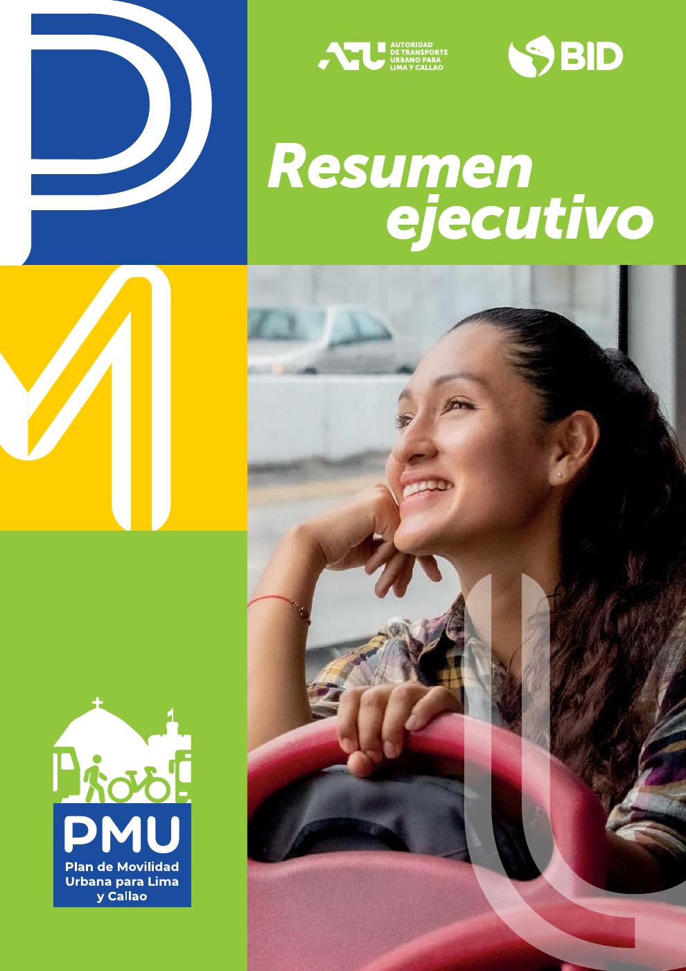 Resumen ejecutivo - PMU | PDF to Flipbook