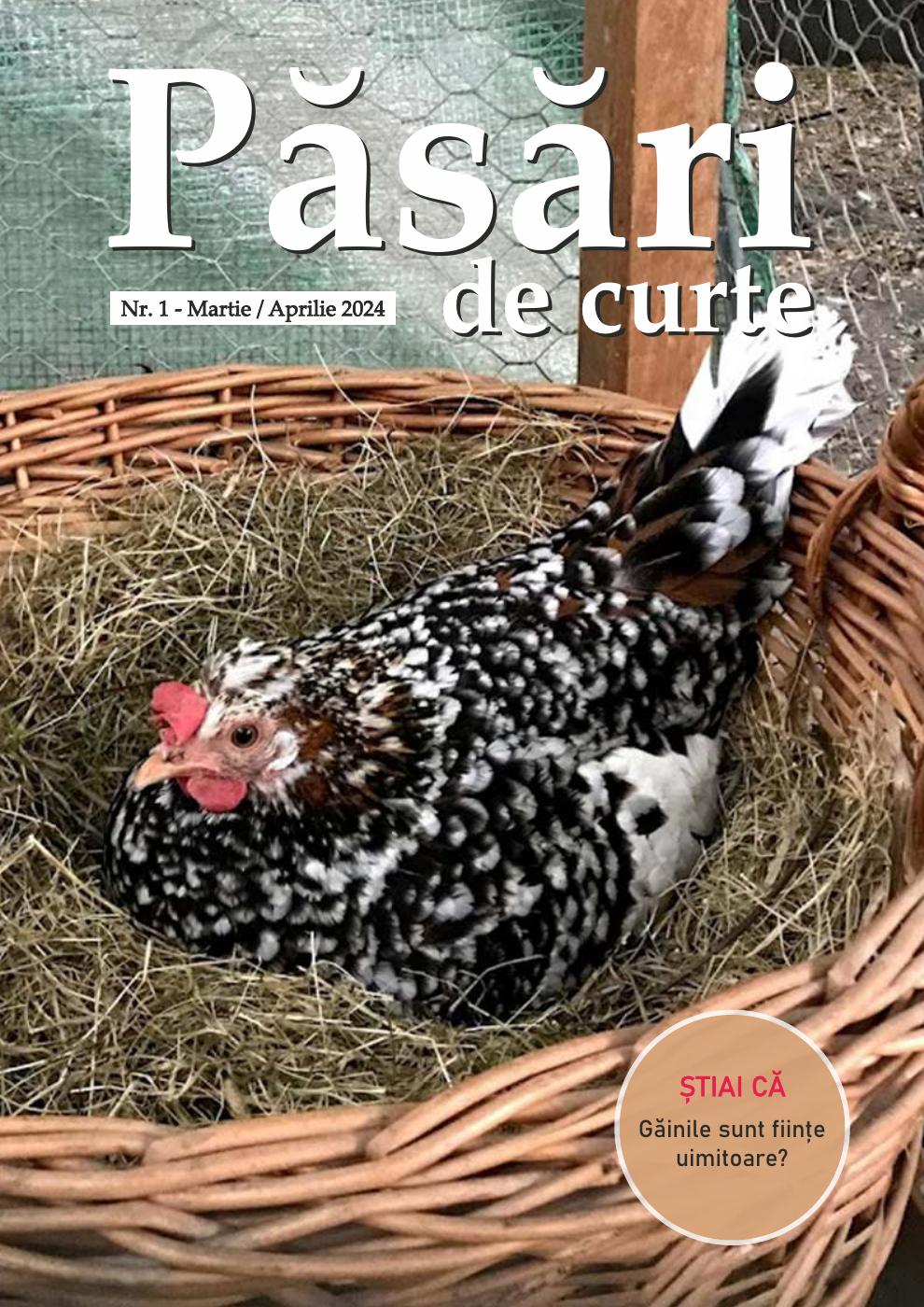 Pasari de curte | PDF to Flipbook