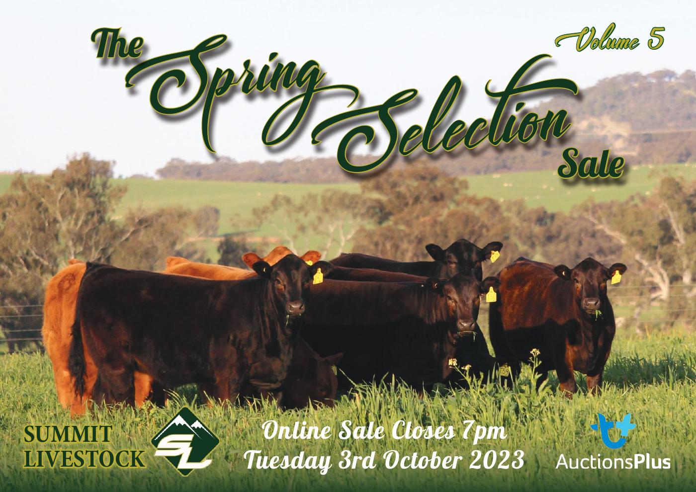 The Spring Selection Sale - vol. 5 | PDF to Flipbook