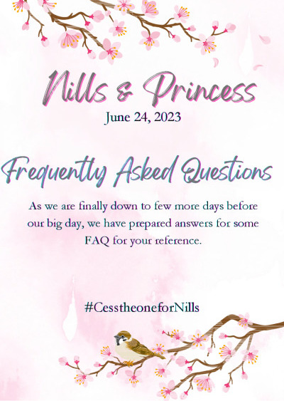 Nills and Princess Wedding | PDF to Flipbook