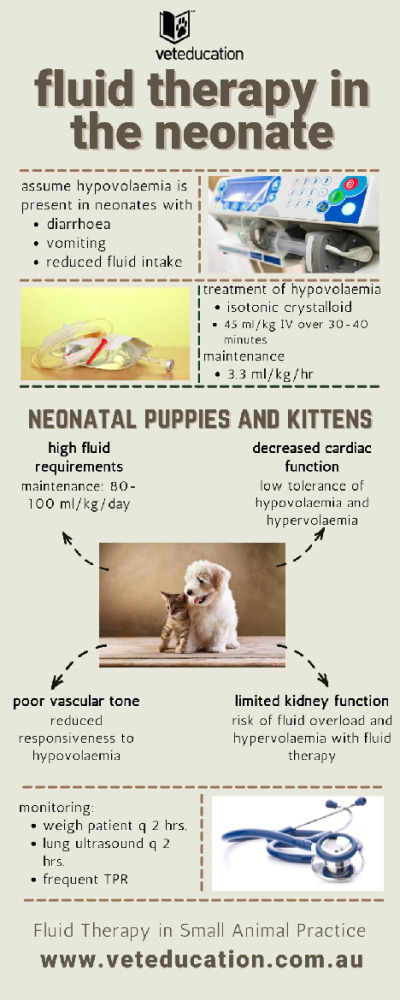 Fluid therapy in the Neonate