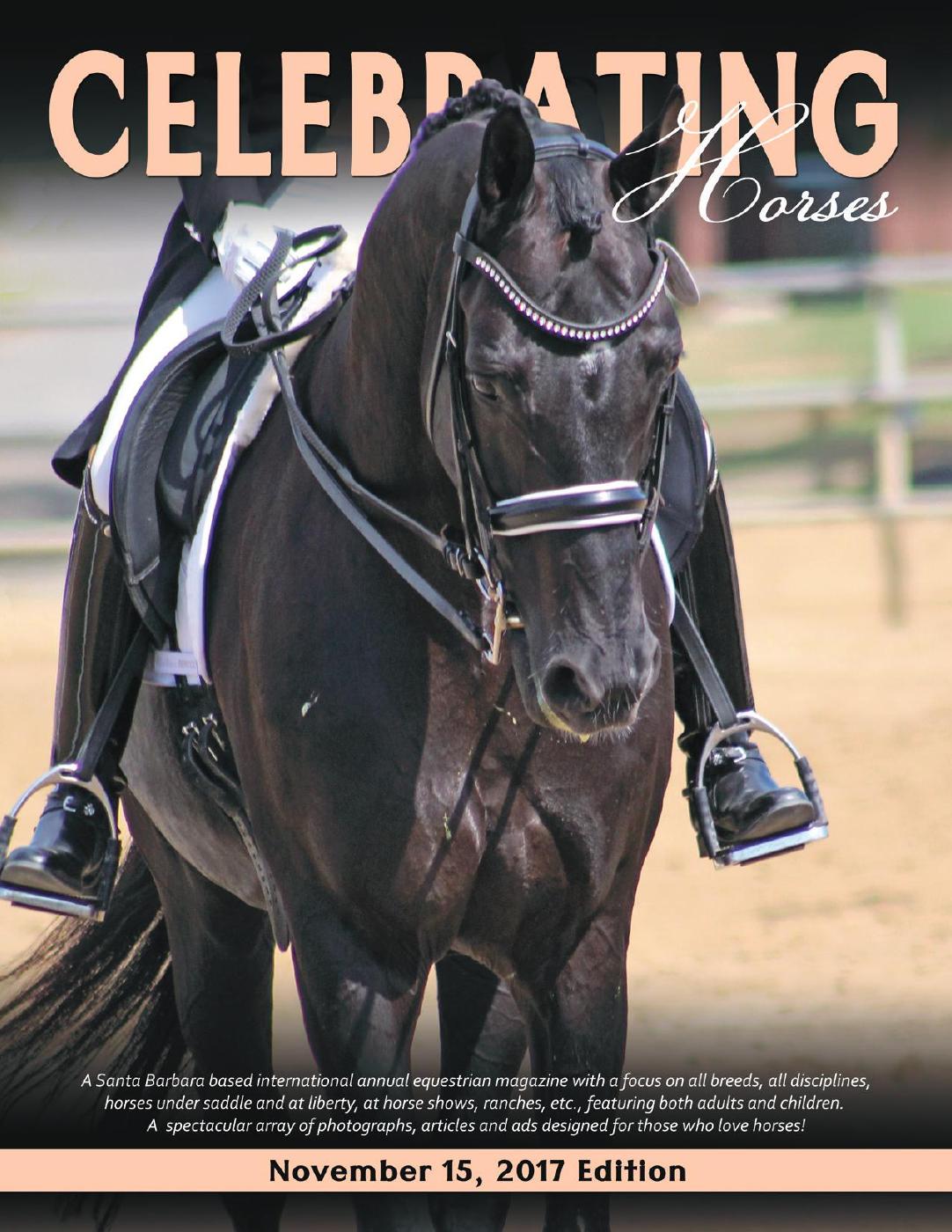 November 15, 2017 - Celebrating Horses