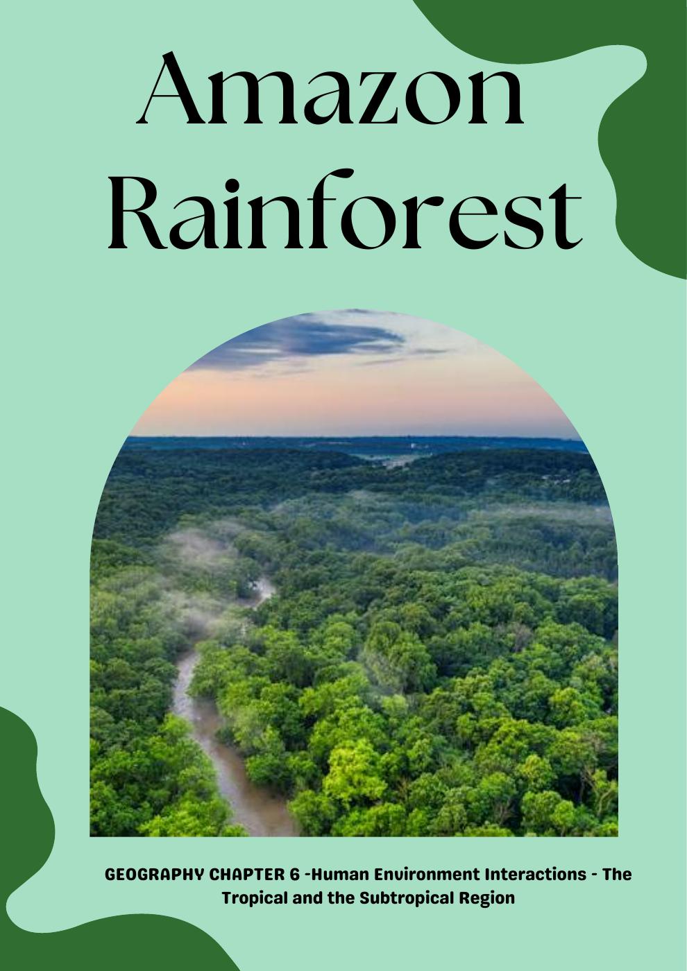 AMAZON RAINFOREST 2 | PDF to Flipbook