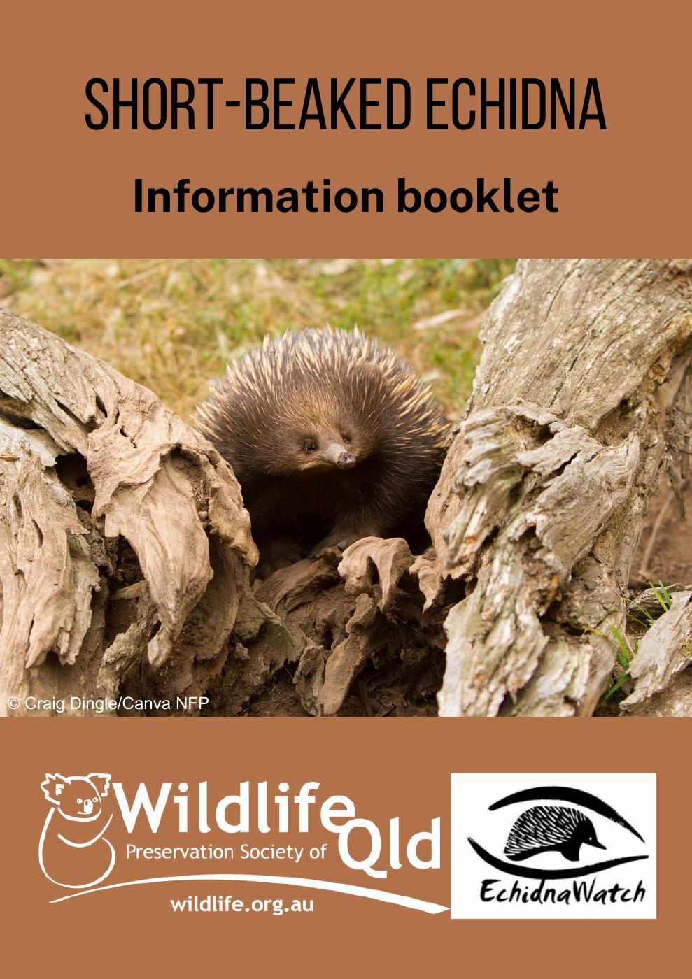 Short-beaked Echidna Information Booklet