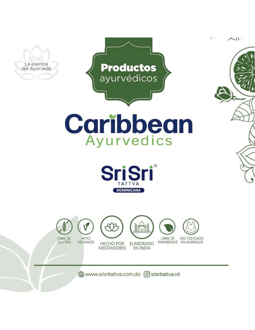 Online Flipbook | Conoce nuestros productos