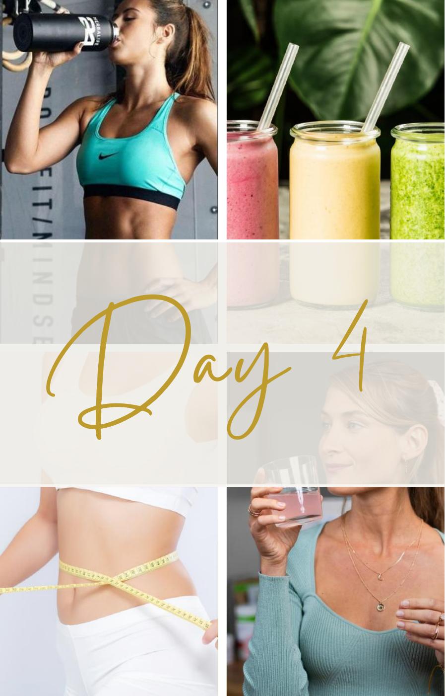 Day 4 | PDF to Flipbook