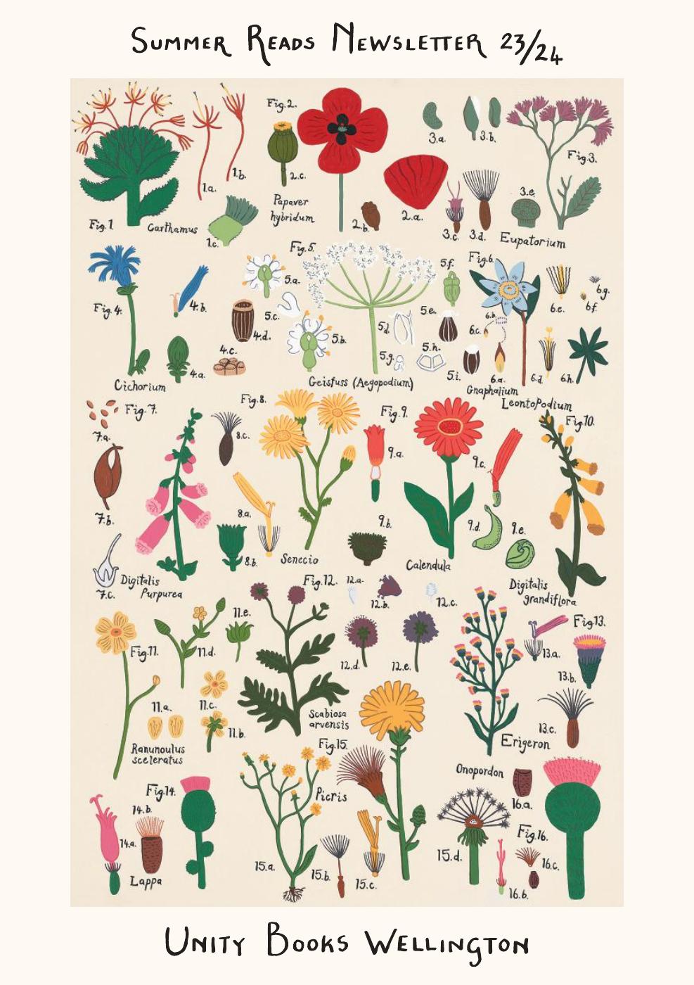 Unity Books Wellington Summer Reads 23/24 | PDF to Flipbook