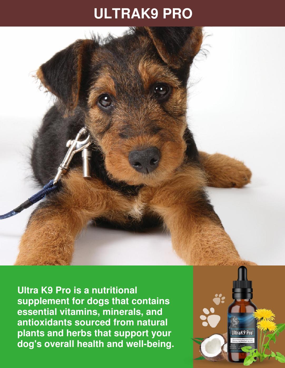 Ultra K9 Pro Customer Reviews | PDF to Flipbook