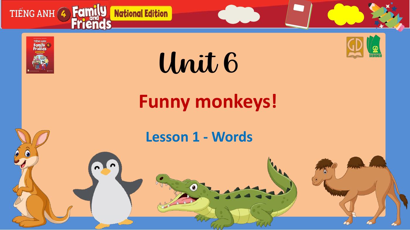 UNIT 6 - NATIONAL 4 | PDF to Flipbook