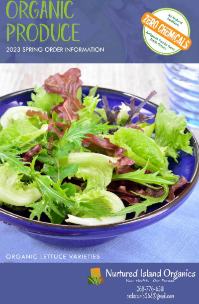 NIO 2023 Spring Order Information | PDF to Flipbook