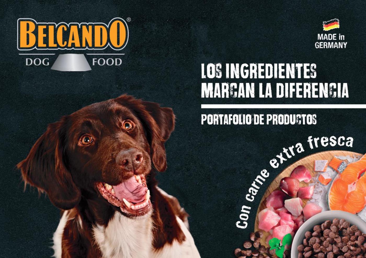 BELCANDO CHILE | PDF to Flipbook