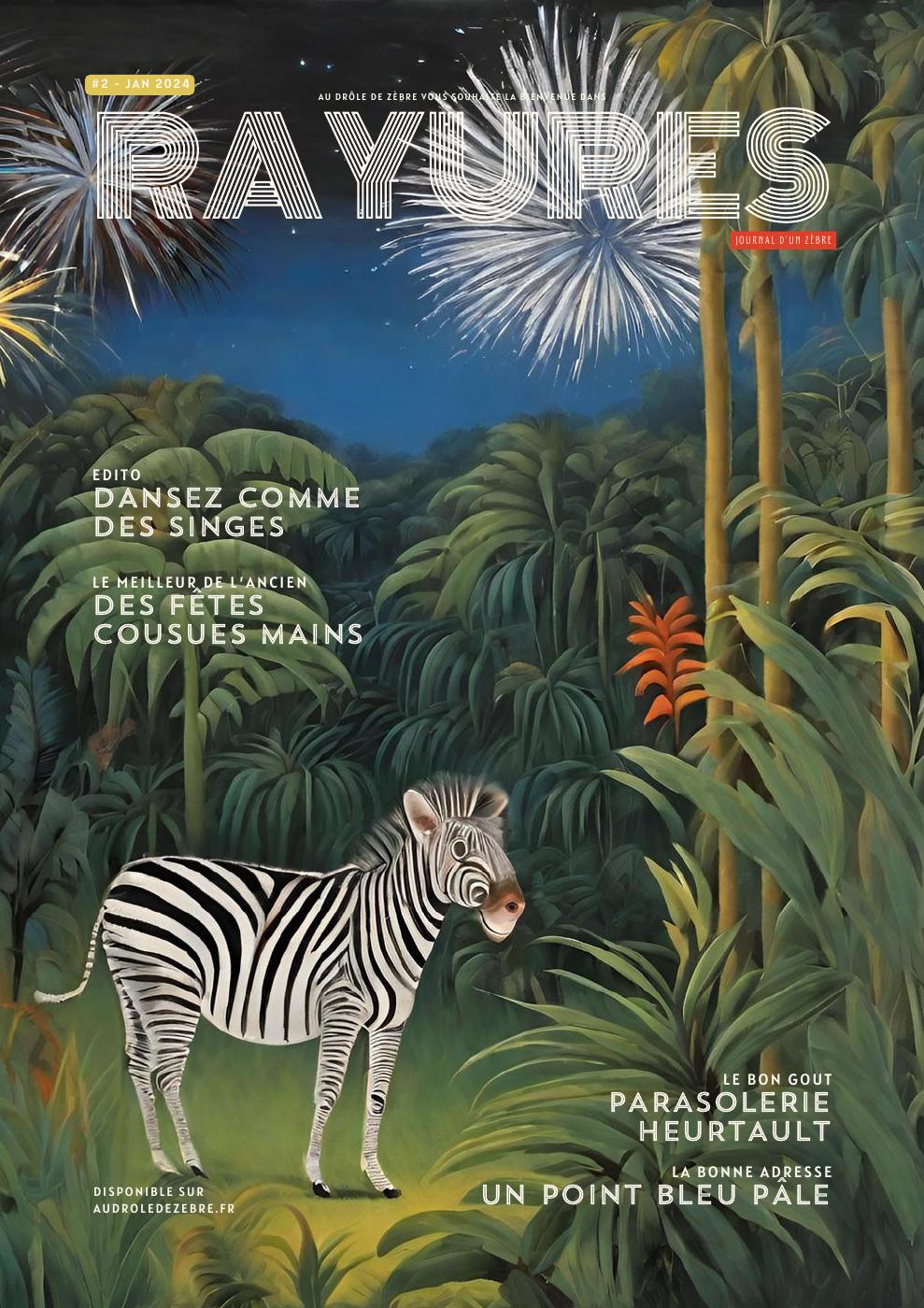 RAYURES #2 (01-24) | PDF to Flipbook