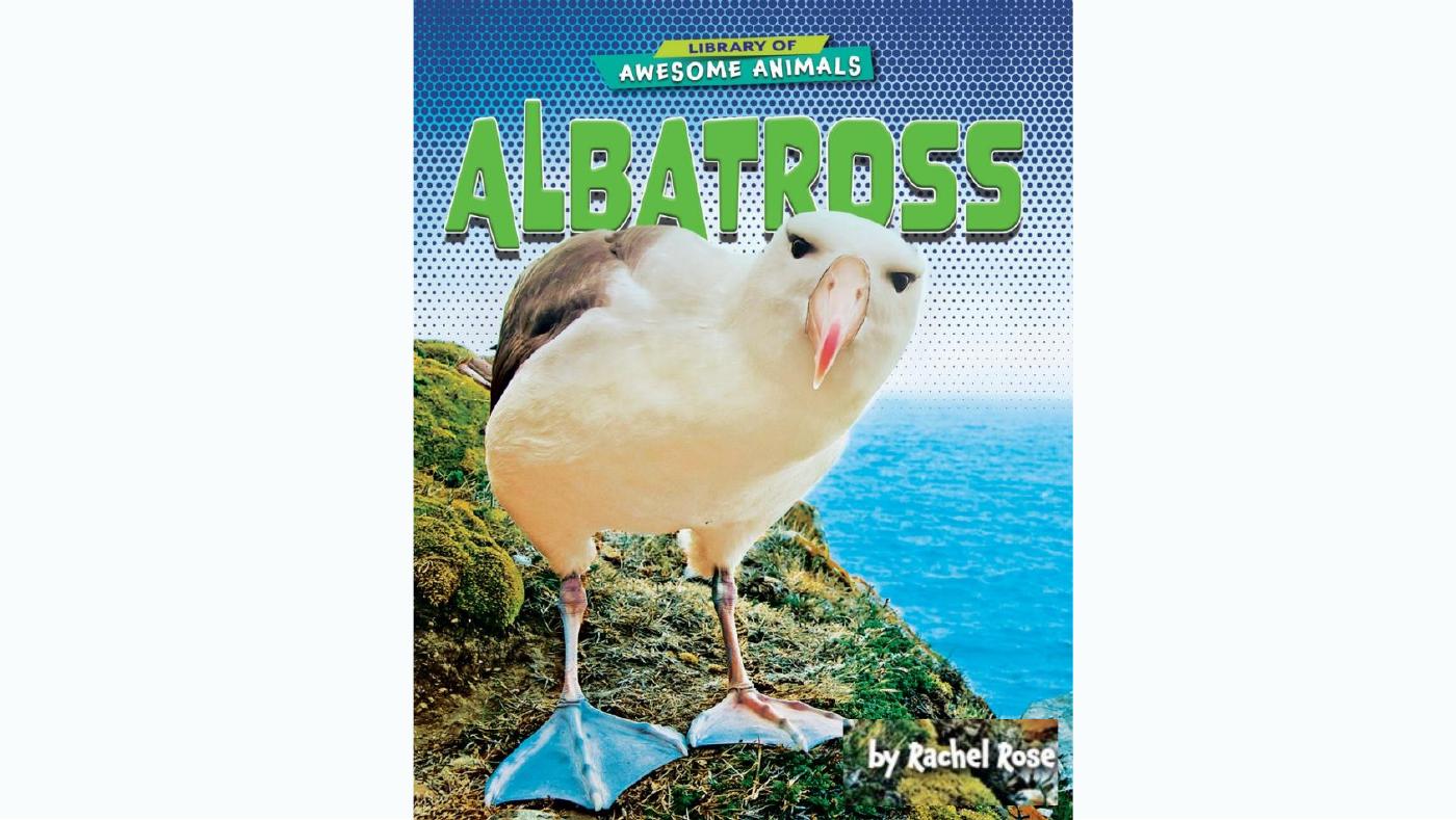 Albatross