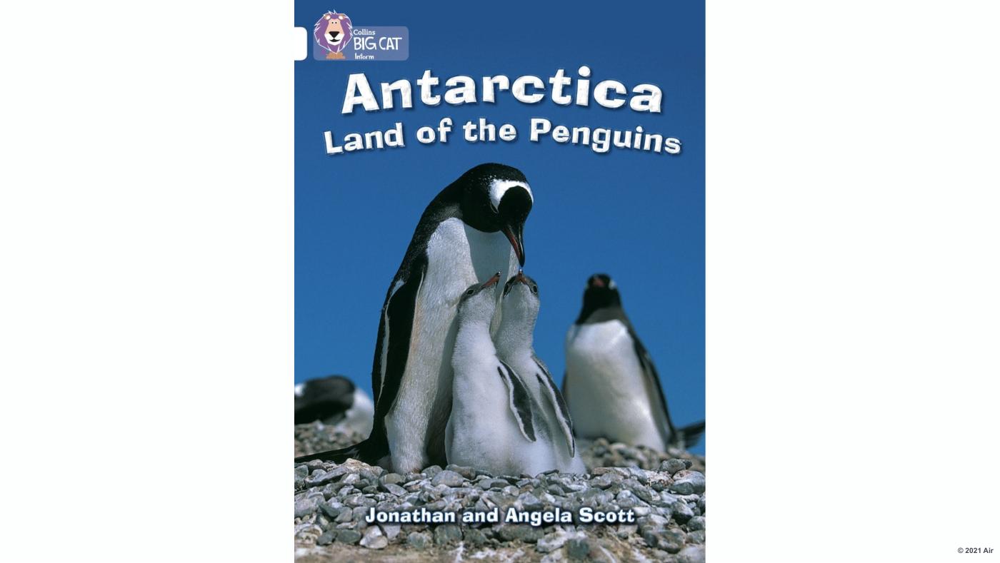 Antarctica Land of the Penguins