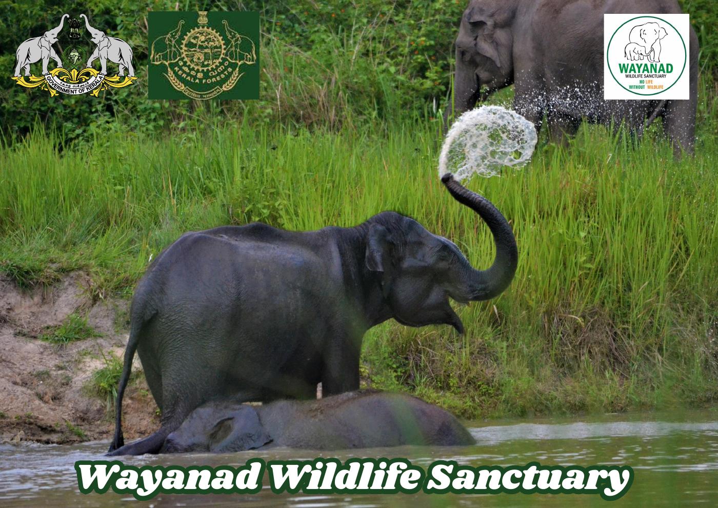 Wayanad Wildlife Sanctuary | Official Website of Wayanad Wildlife ...