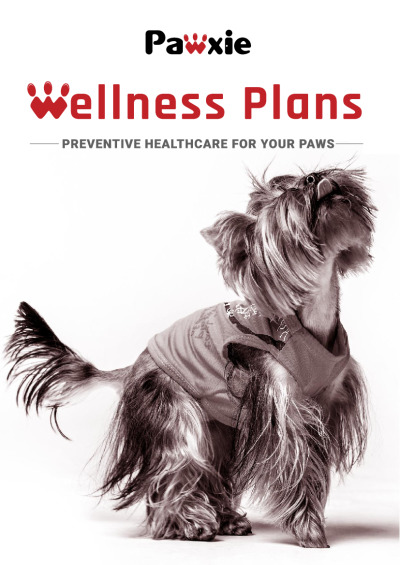 Pawxie Wellness Dogs | PDF to Flipbook