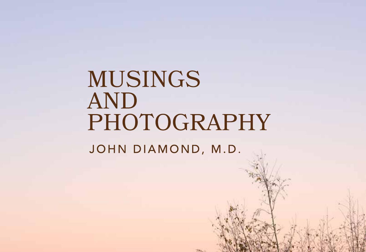 A Book of Musings & Artwork of Dr. John Diamond, MD