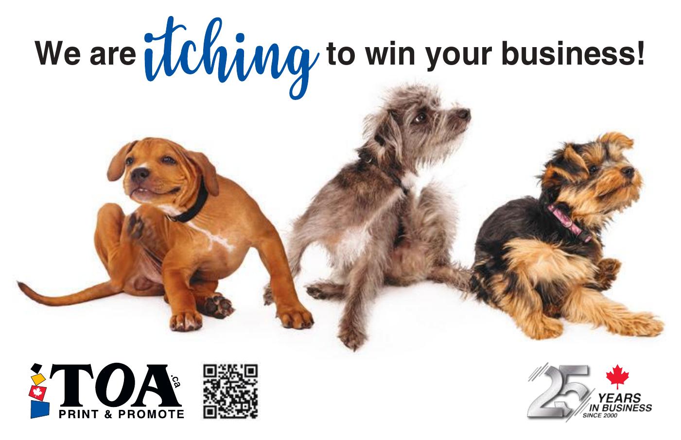 TOA Capabilities Brochure