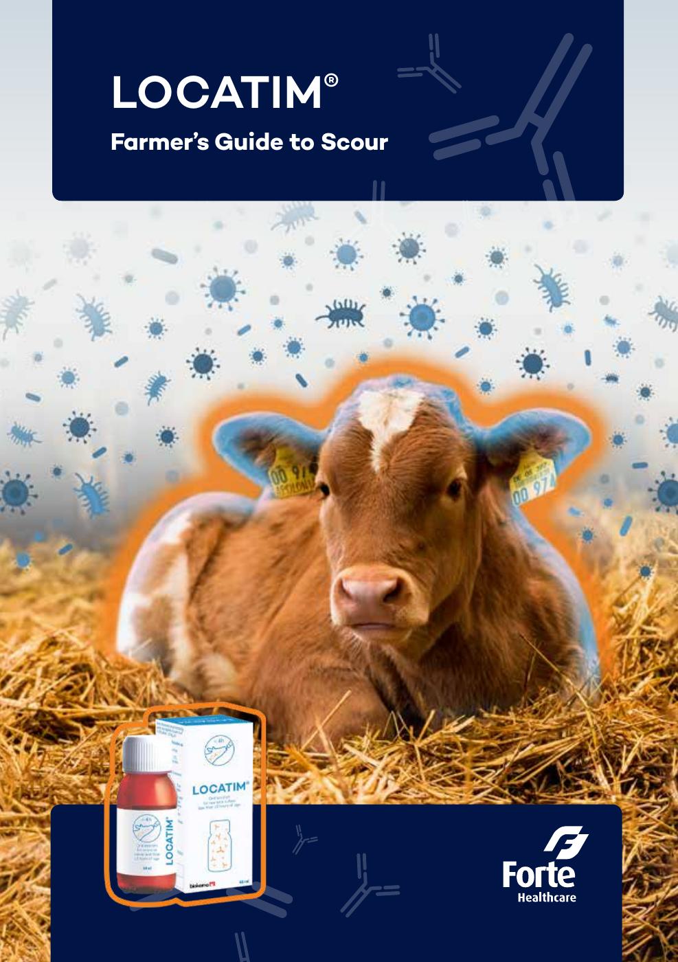 Locatim | PDF to Flipbook