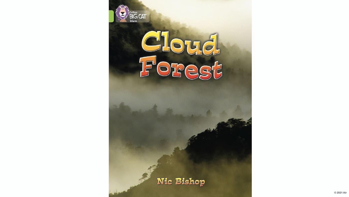 Cloud Forest