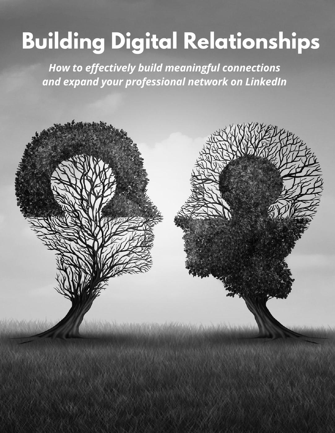 Building Digital Relationships