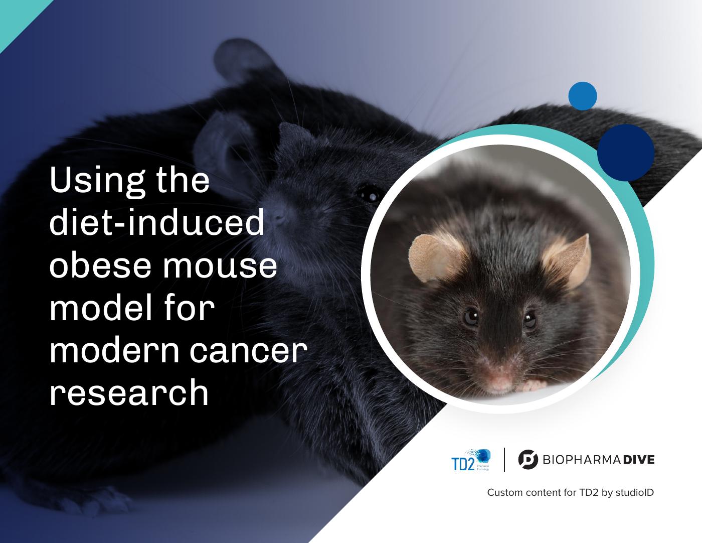 Using the diet-induced obese mouse model for modern cancer research ...