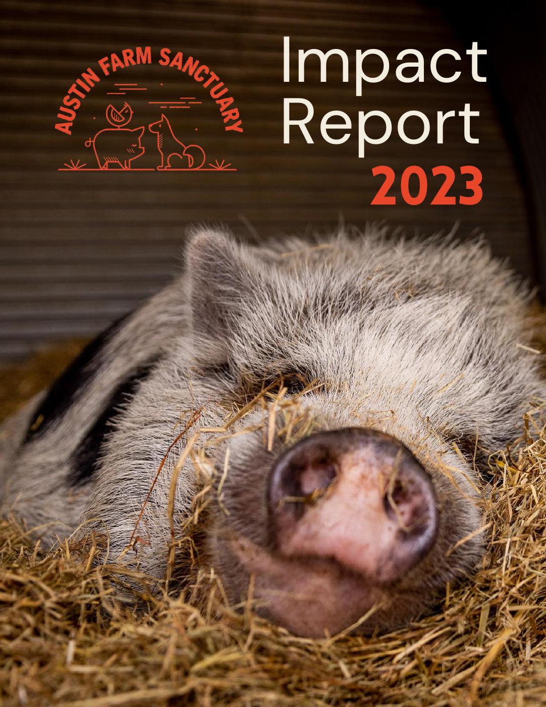 Austin Farm Sanctuary 2023 Impact Report | PDF to Flipbook