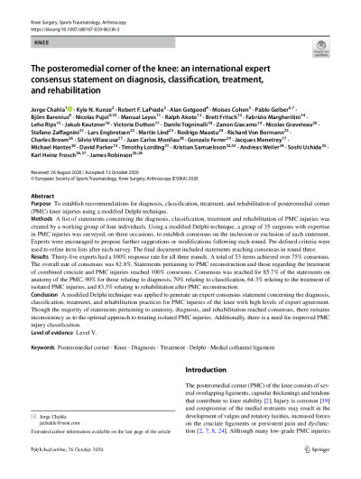 Posteromedial corner of the knee - consensus statement