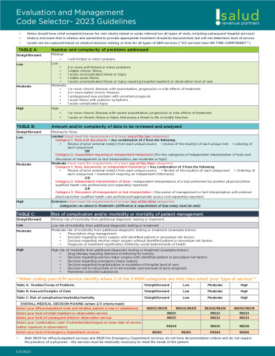 Salud Evaluation and Management Code Selector